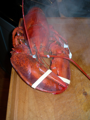 Why do lobsters hiss?