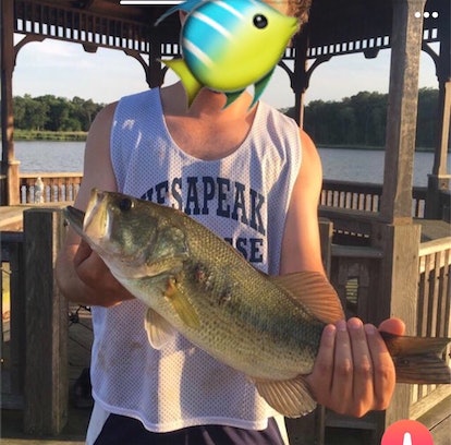 Why do men use fish pictures?