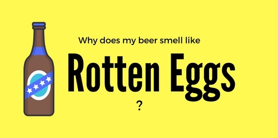 Why do my farts smell like rotten eggs after drinking beer?