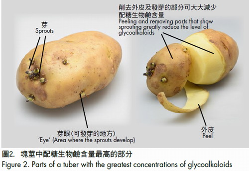 Why do my potatoes taste bitter in the Peel?