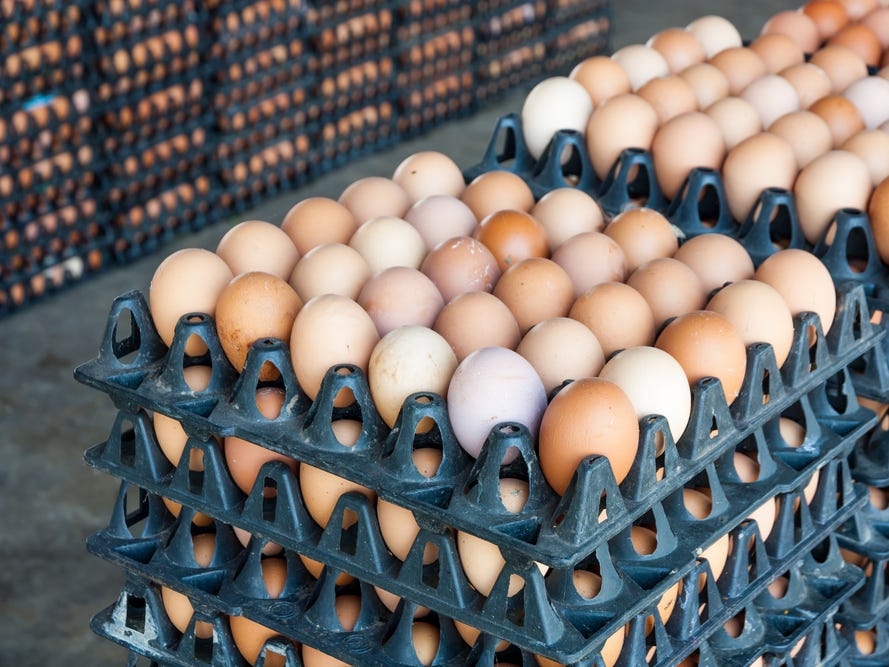 Why do other countries not refrigerate eggs?
