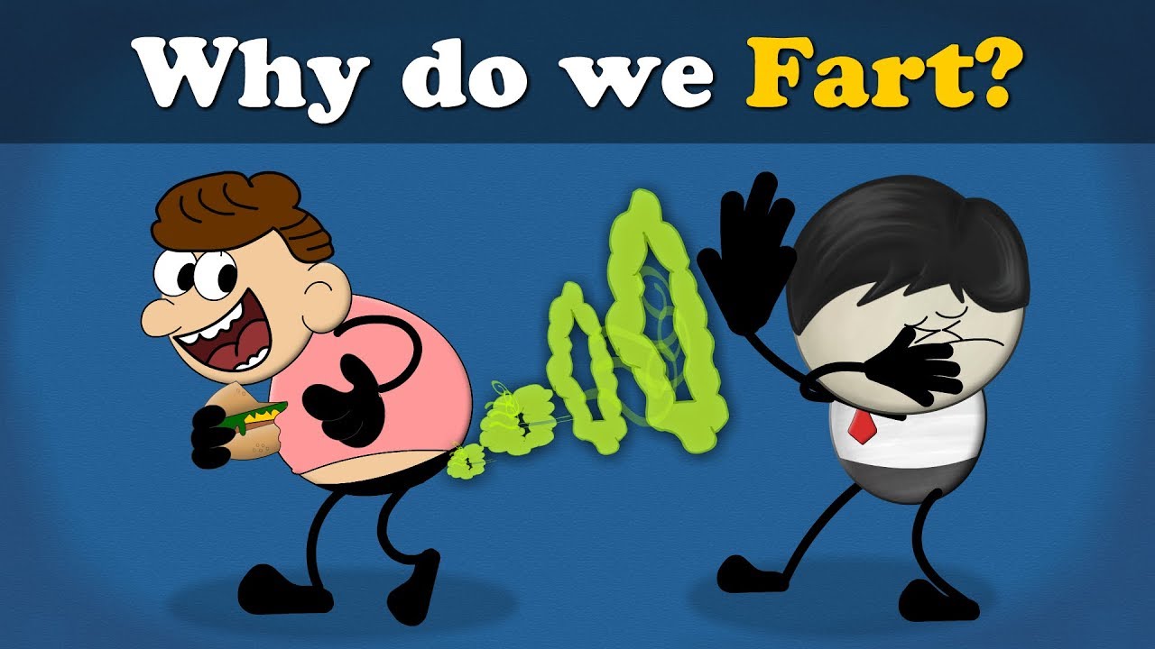 Why do people fart and laugh?