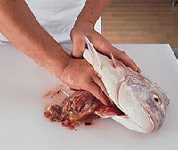 Why do people remove fish guts?