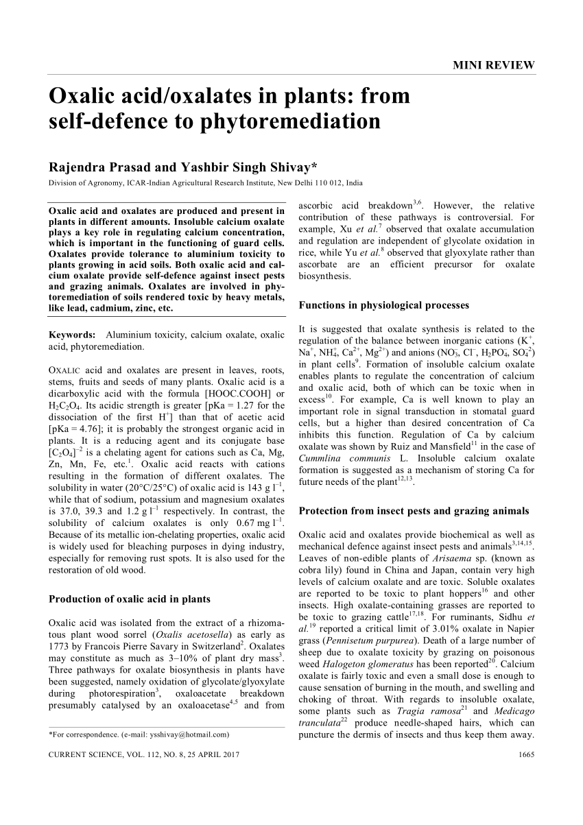 Why do plants produce oxalic acid?