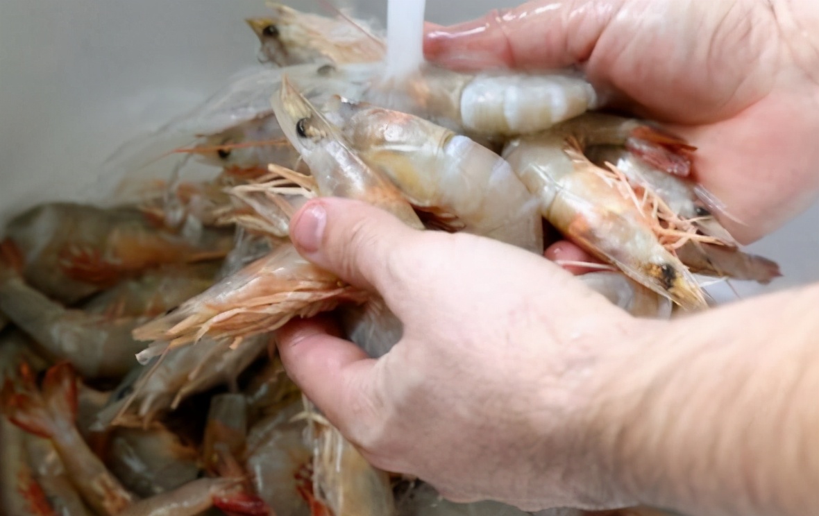 Why do prawns turn mushy when they die?