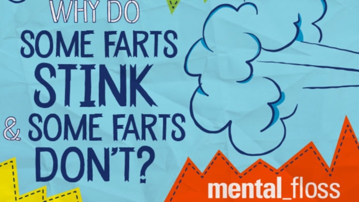 Why do some farts stink and some don t?