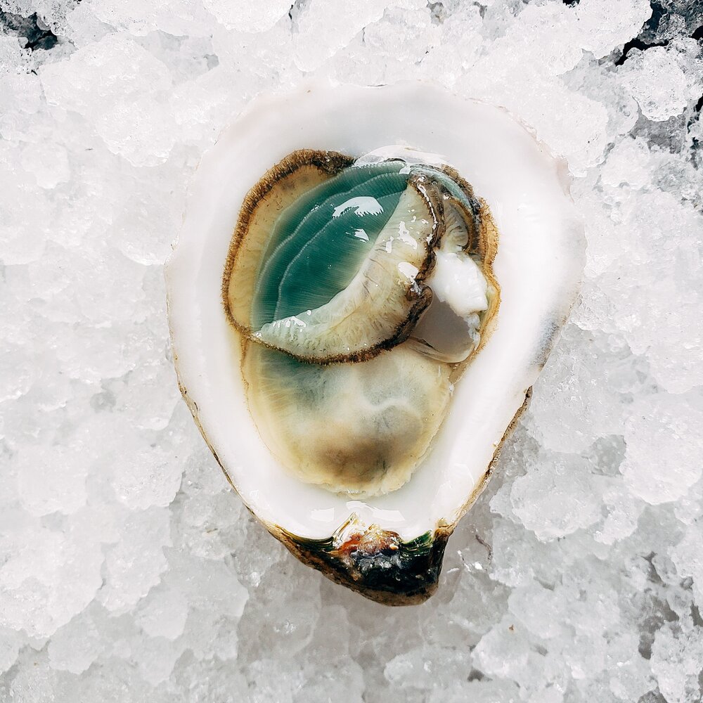 Why do some oysters taste like poop?