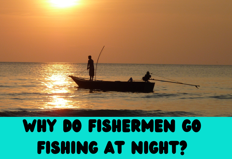 Why do the fishermen go to the sea at night?