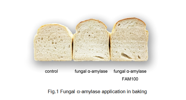 Why do they put enzymes in bread?
