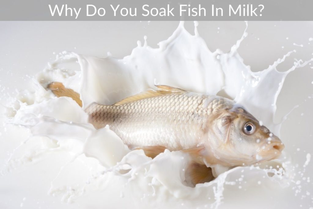 Why do they Soak fish in milk?