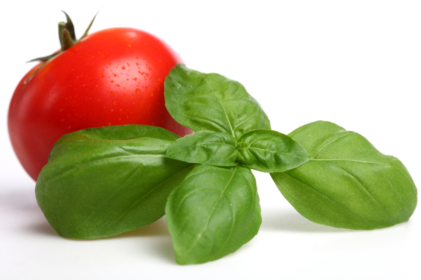 Why do tomato and basil go together?