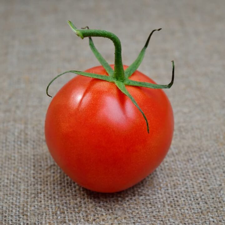 Why do tomatoes not taste like they used to?