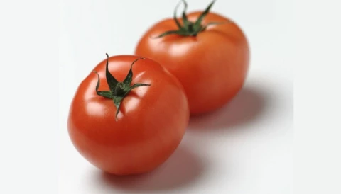 Why do tomatoes not taste like tomatoes anymore?