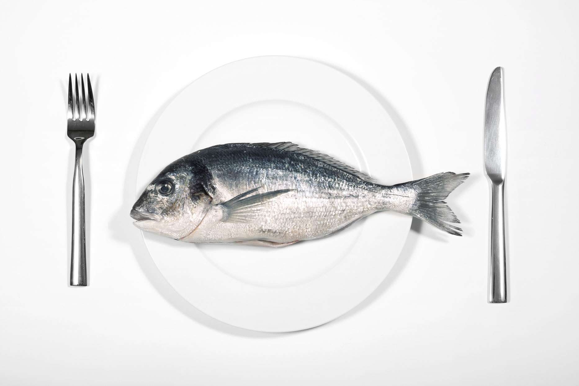 Why do vegetarians think it's OK to eat fish?