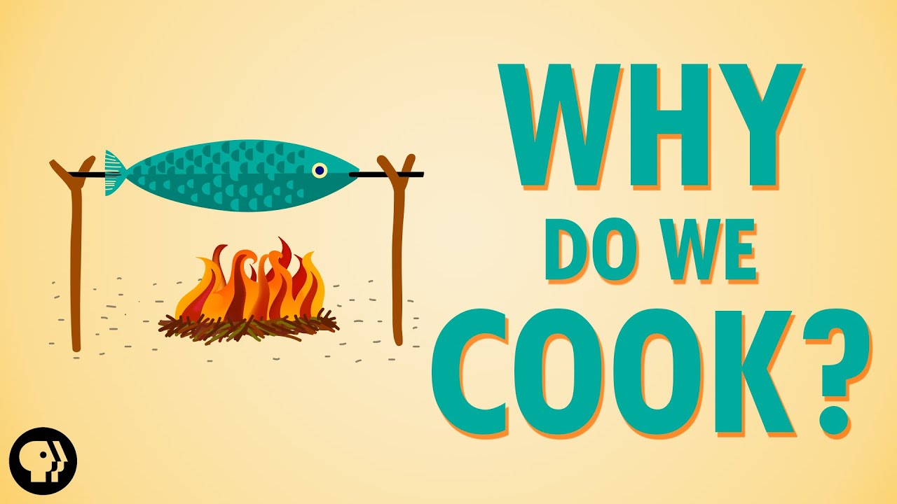 Why do we cook food?