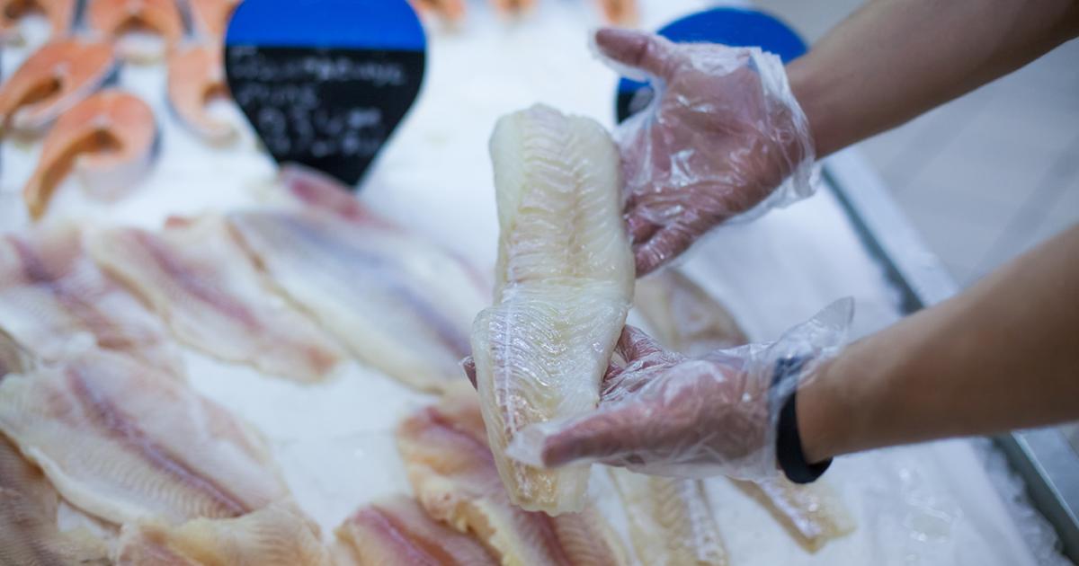 Why do we need to follow the guidelines in cooking fish and shellfish?