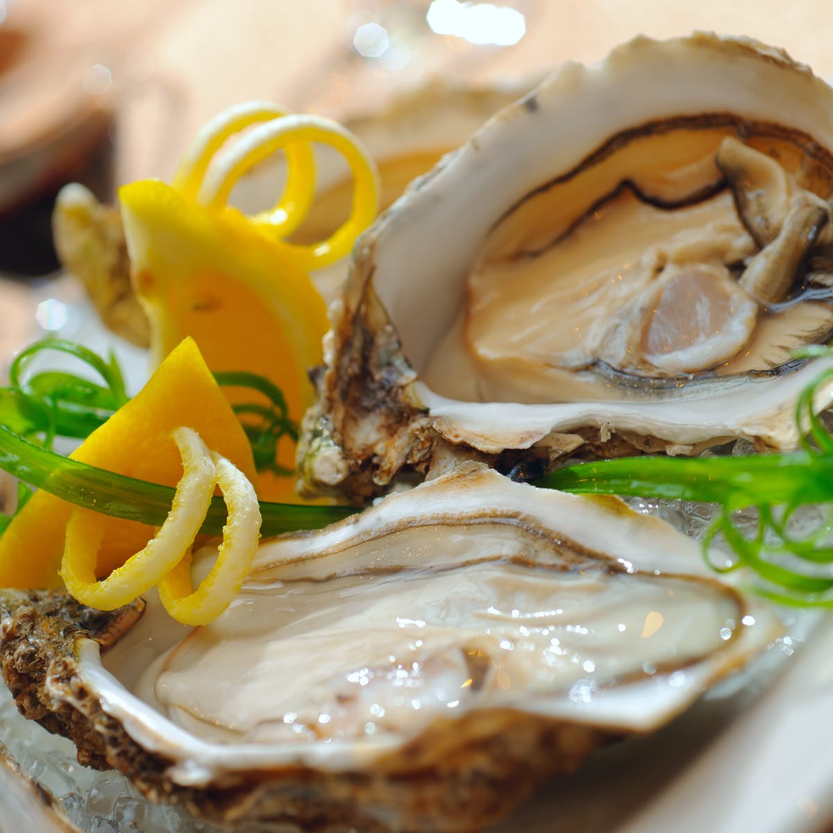 Why do you not cook oysters?