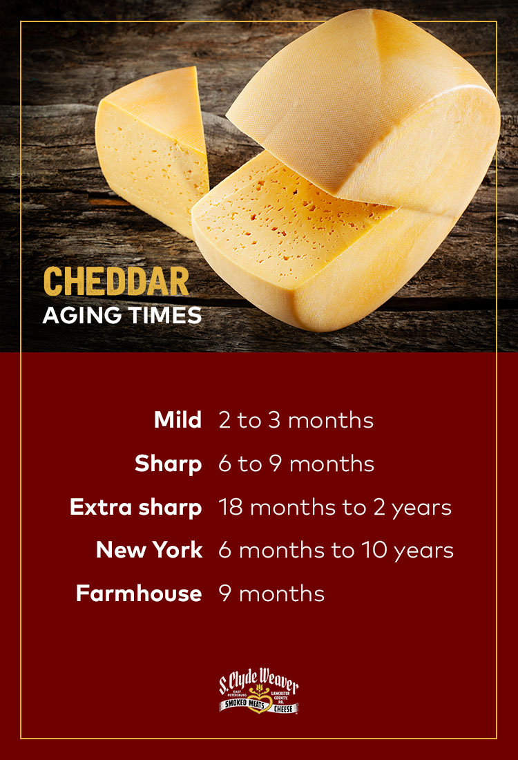 Why does aged cheese taste better?