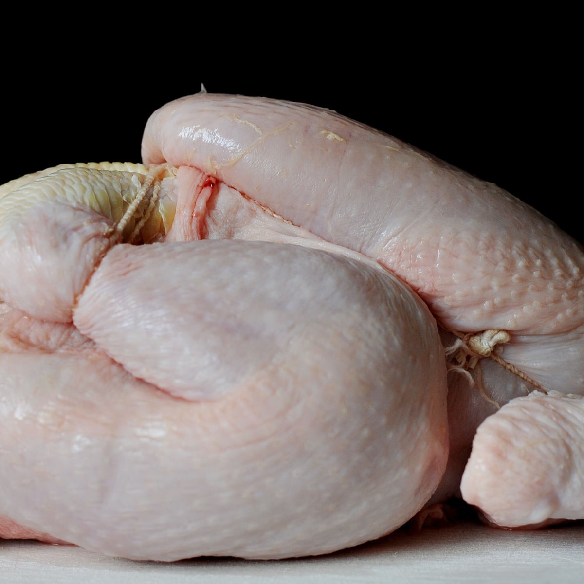 Why does chicken meat have so much bacteria?