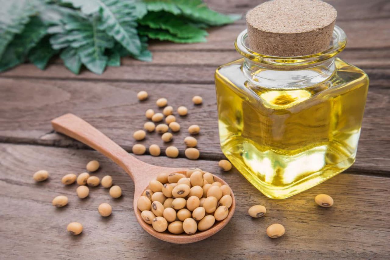 Why does everyone use soybean oil?