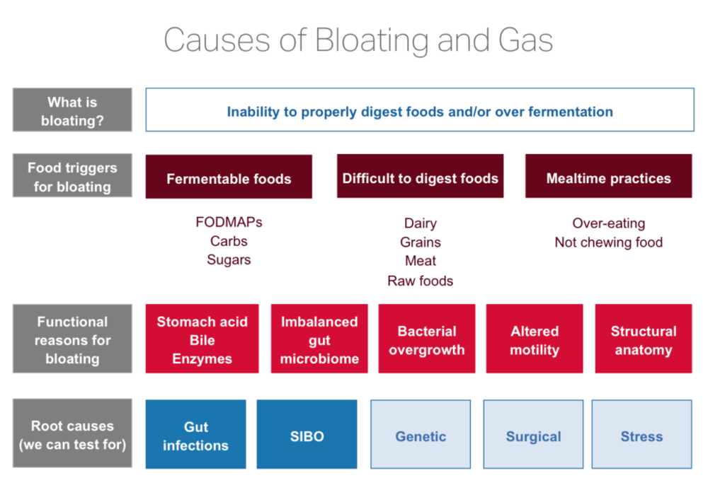 Why does everything make me gassy and bloated?