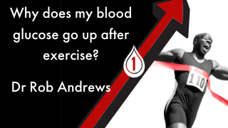 Why does exercise make my blood sugar go down?