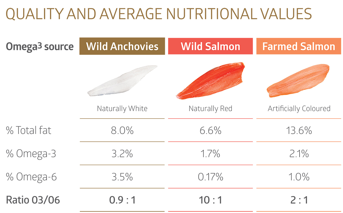Why does farmed salmon have more omega-3 than wild salmon?