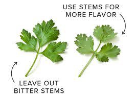 Why does fresh parsley taste bad?