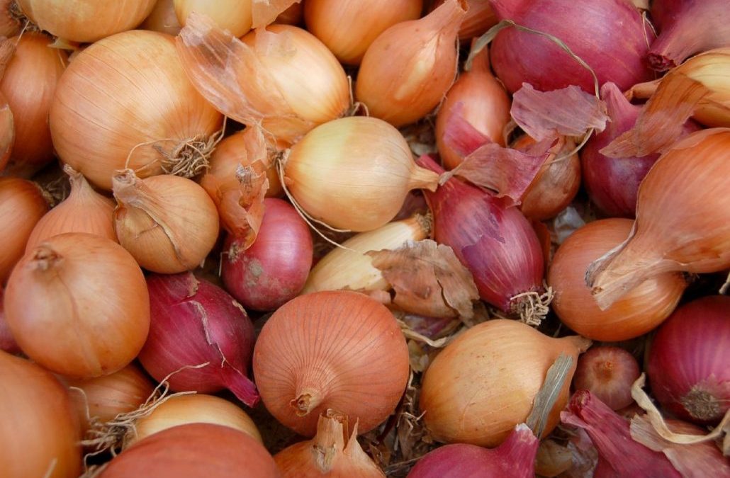 Why does onion taste sour?