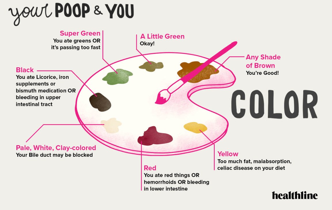 Why does pooping make you feel weird?