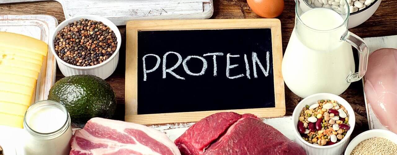 Why does quality of the protein is important?