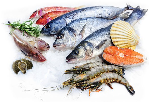 Why does seafood spoil faster in the fridge than meat?