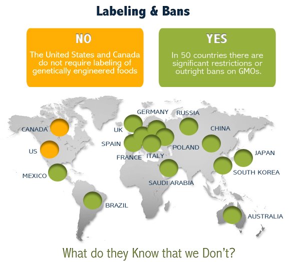 Why don t GMOs have to be labeled in the United States?