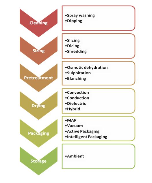 Why drying of food is important?