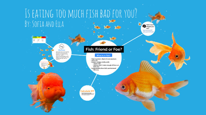 Why fish is bad for you?