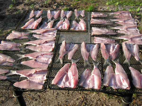 Why fish should be dried before smoking?