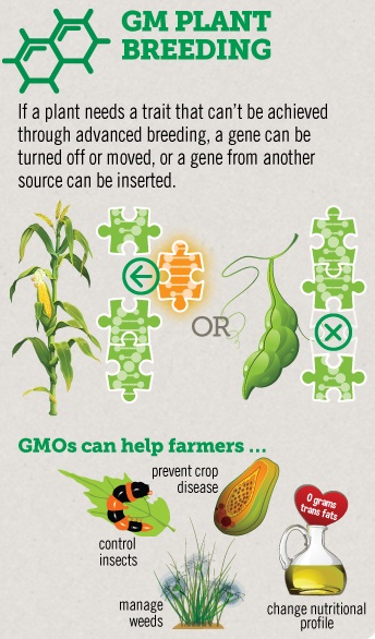 Why GMO products are better?