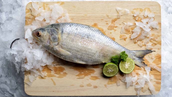 Why ilish fish is so costly?