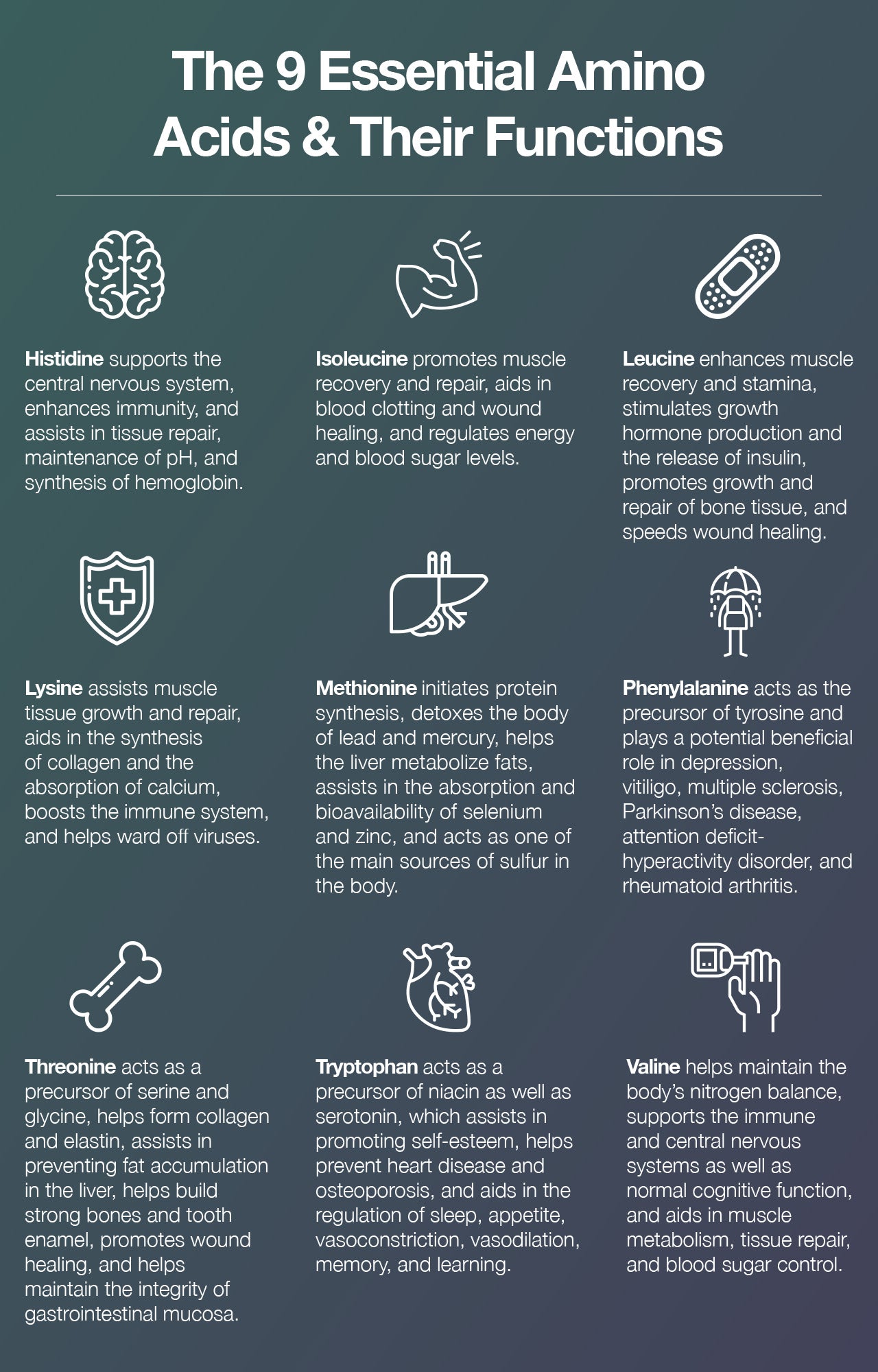 Why is a 9 amino acids important?