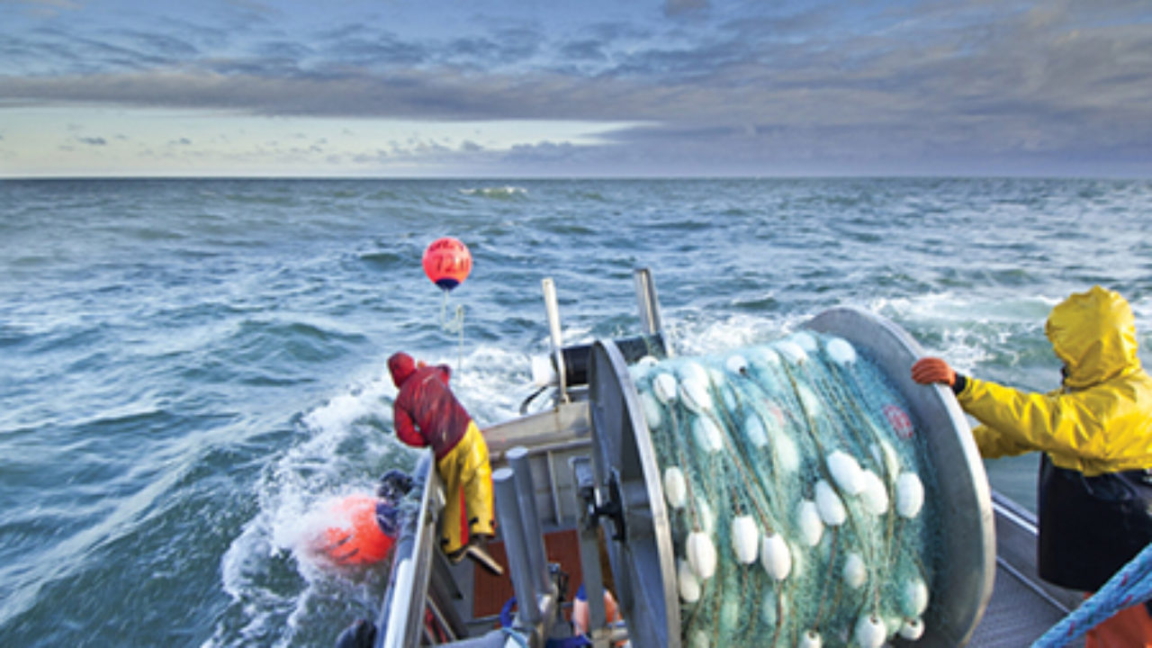 Why is Alaska fishing industry so important?