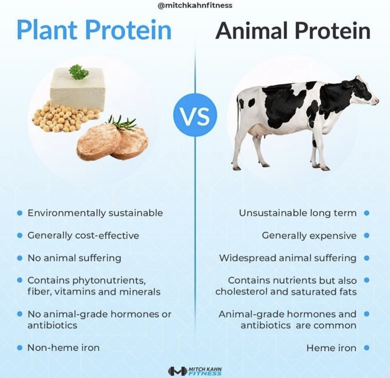 Why is animal protein better than plant protein?