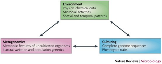 Why is bacterial culturing important?