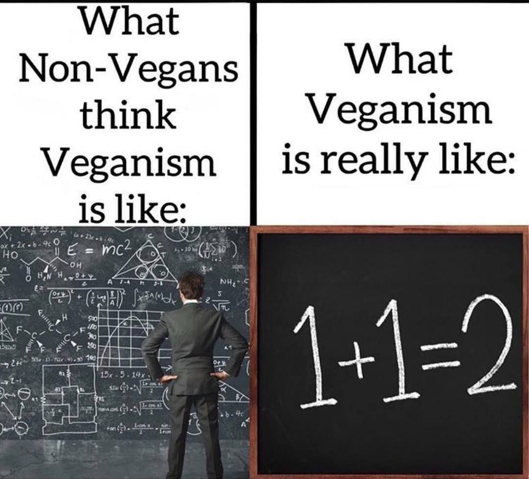 Why is being vegan hard?
