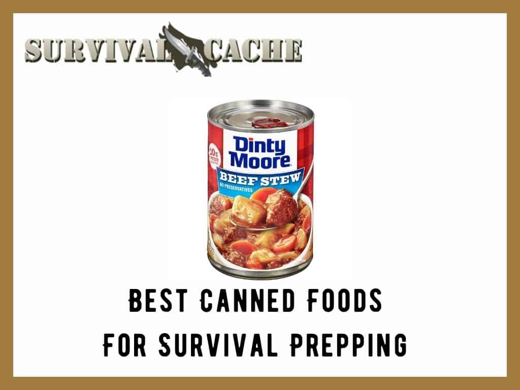 Why is canned food good for survival?