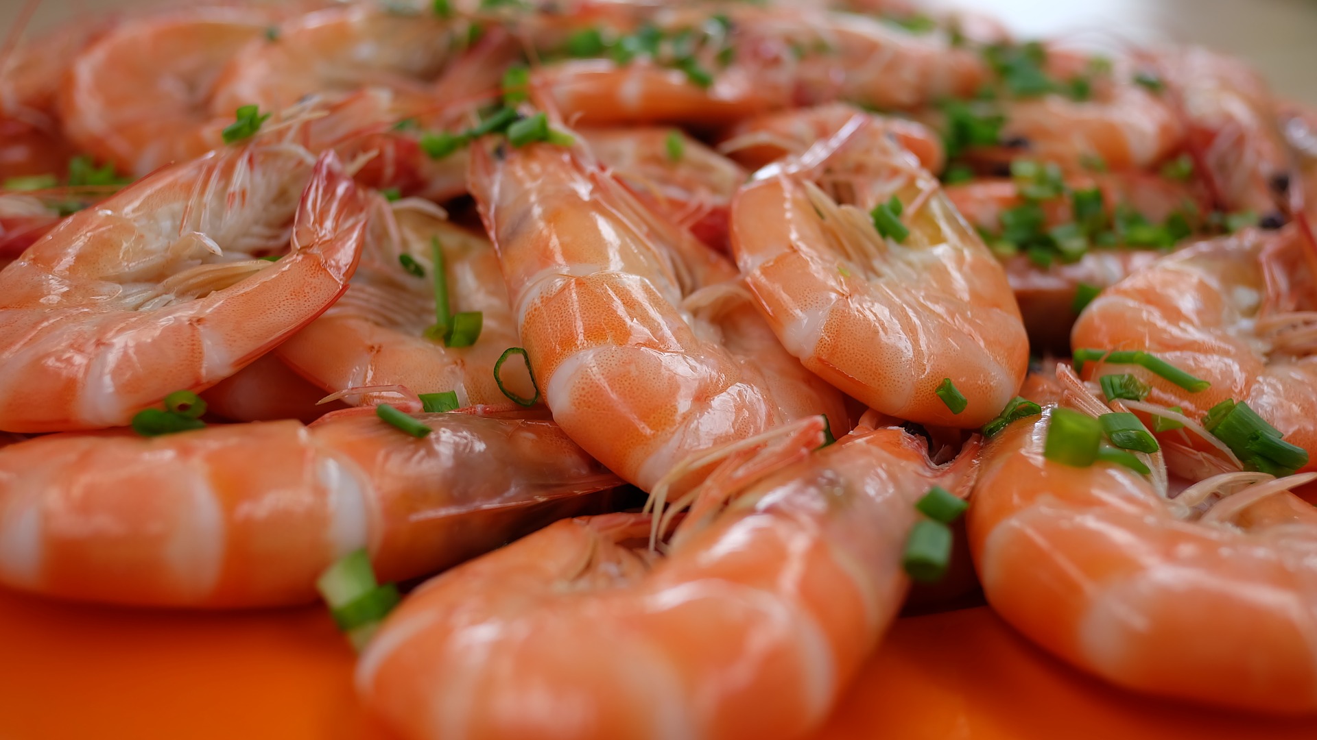 Why is catching shrimp so expensive?