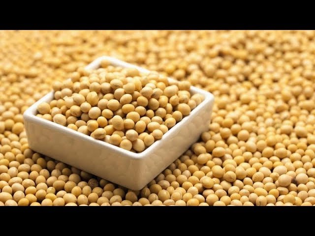 Why is China buying so much soybeans?