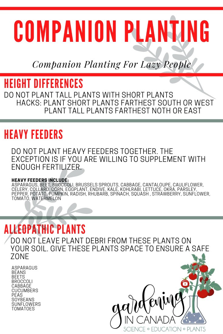Why is companion planting important?