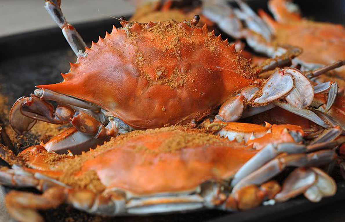 Why is crab so popular in Maryland?