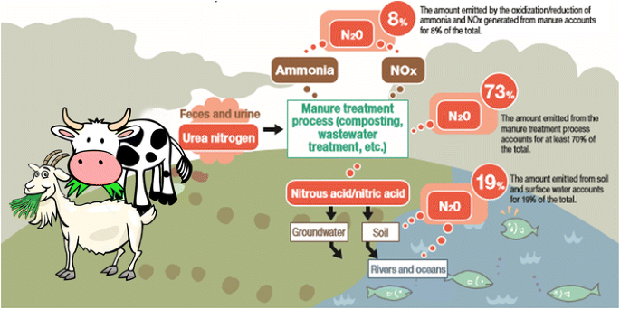 Why is crude protein important in animal feed?