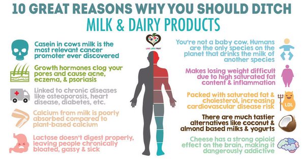 Why is dairy bad for you?